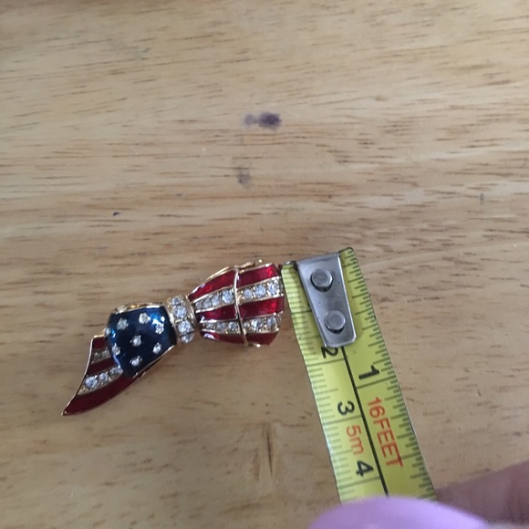 Carolee | Jewelry | Carolee Patriotic Pin | Poshmark
